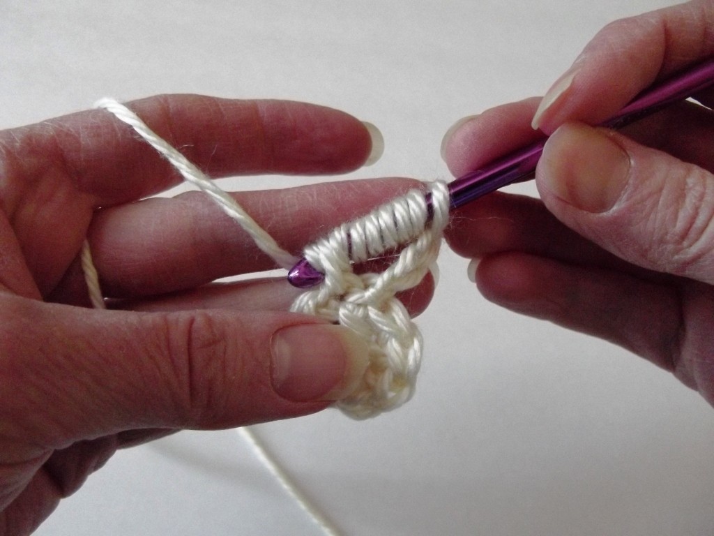Crochet Bullion Stitch ~ Crochet Photo Tutorial