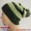 Crochet Rasta Hat ~ FREE Crochet Pattern